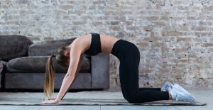 Cat Camel Exercise | Transform Chiropractic